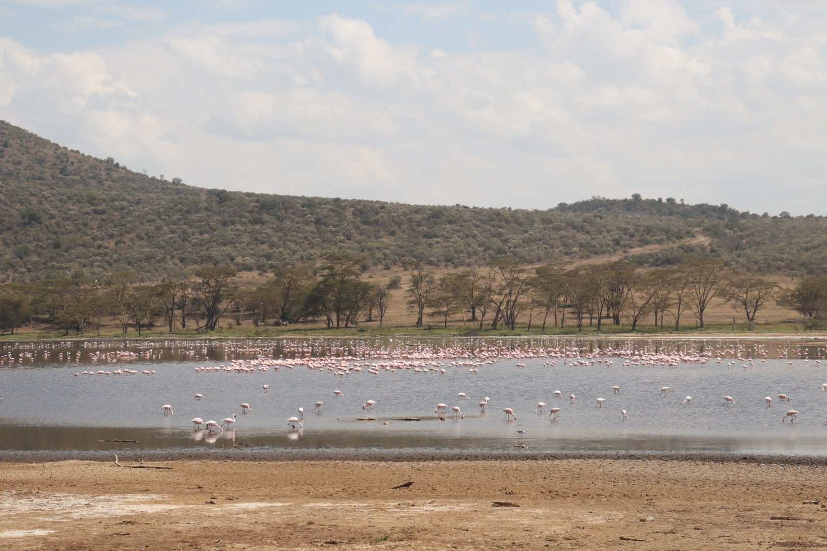 Everything you need to know before visiting Lake Nakuru – What a Lovely ...